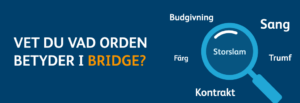 Bridge kortspel » Regler & hur man spelar | Guide för nybörjare