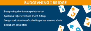 Bridge kortspel » Regler & hur man spelar | Guide för nybörjare